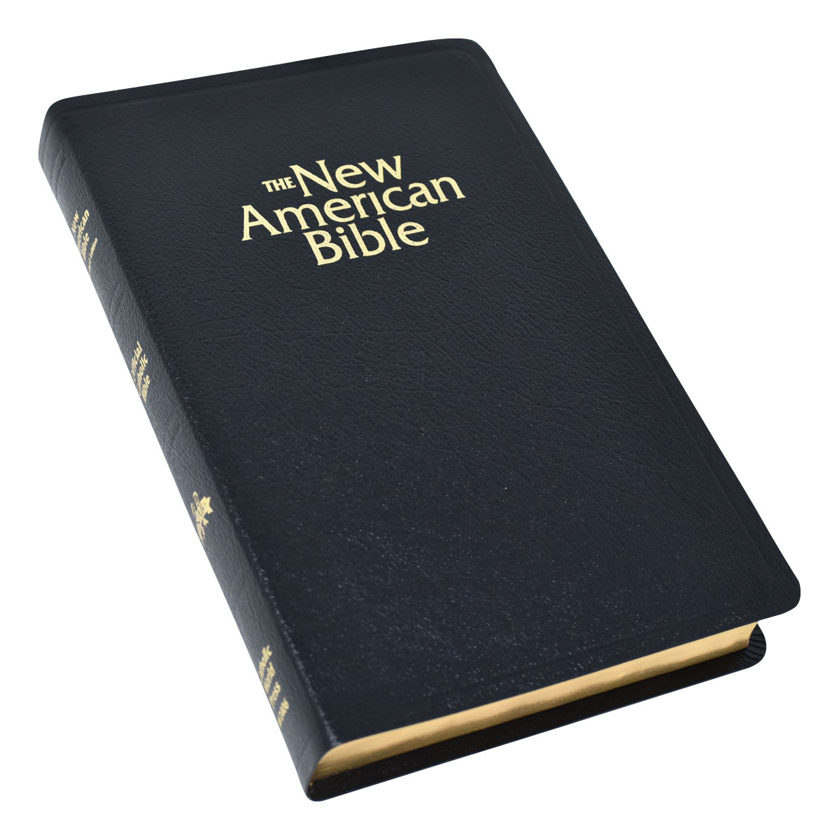 Catholic Book Publishing NABRE Deluxe Gift Bible Catholic Book Publishing NABRE Deluxe Gift Bible